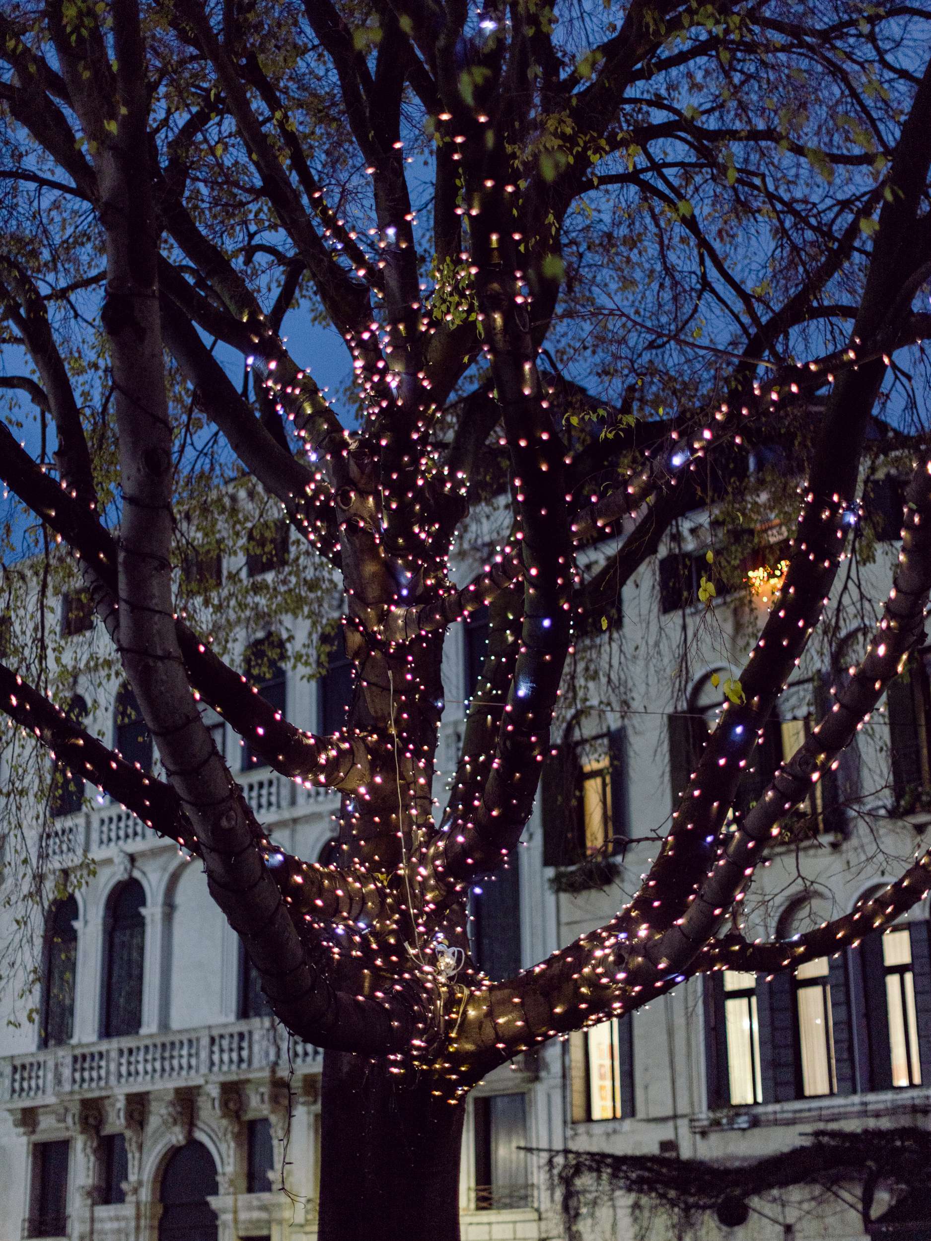 Visiting Venice in December | The Complete Guide | Camìlla M